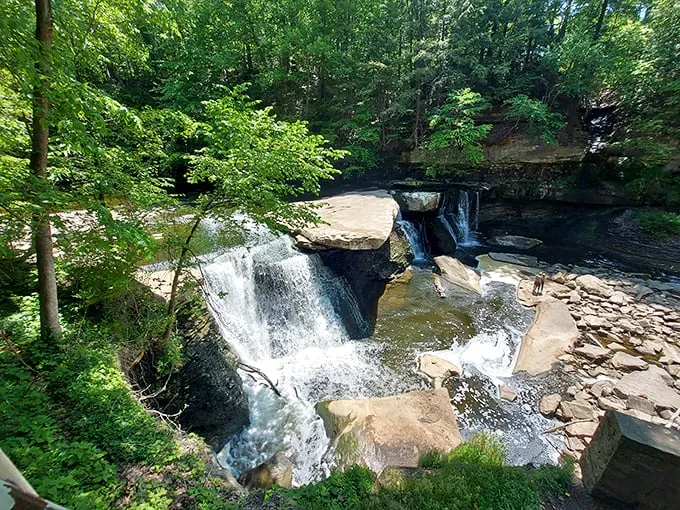 Great Falls of Tinkers Creek: where urban meets wilderness in a splash of natural drama.