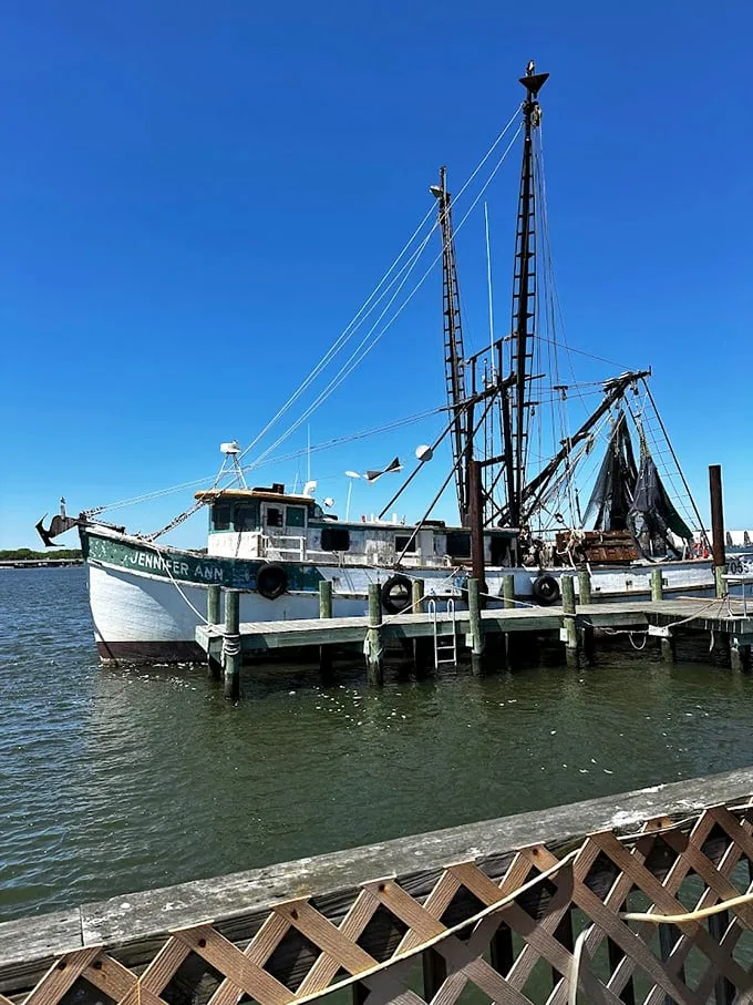 From sea to table in mere steps! This docked fishing boat is like a floating grocery store for the freshest catches.