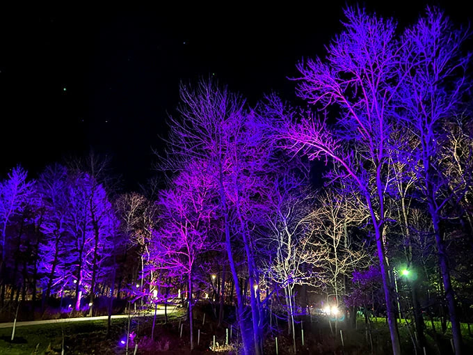 "When day turns to night, Allerton Park gets its glow on. It's like Mother Nature's own light show, no electricity required!"