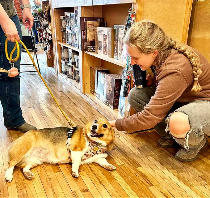Paws for a good read! Fox Den's dog-friendly policy means your furry friend can join you on your quest for the perfect book.