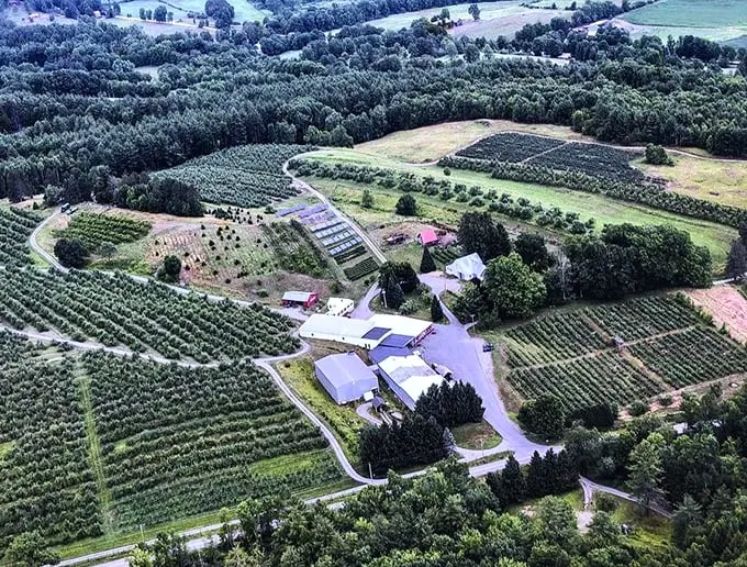 An aerial view that looks like a patchwork quilt of deliciousness. Who knew farming could be so photogenic?