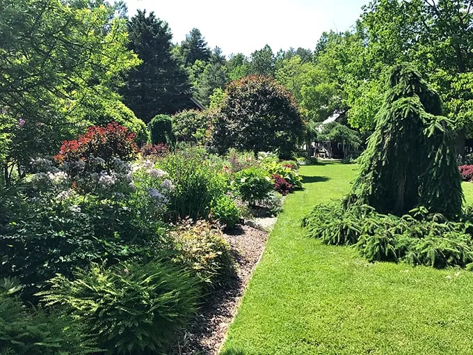 Garden goals or real-life Windows desktop background? This view is so perfect, you'll be checking for pixels – but nope, it's 100% Mother Nature's handiwork!