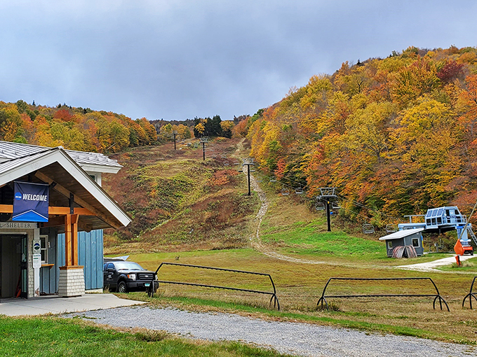 Middlebury Snow Bowl: Where the views are as stimulating as a liberal arts education. No tuition required!