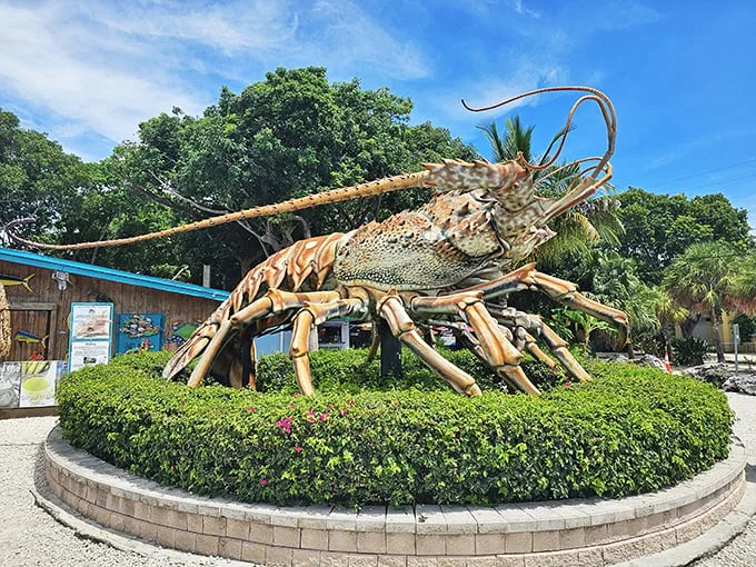 Holy crustacean, Batman! Betsy the Lobster looms large in Islamorada, serving up a hearty dose of Florida quirk with a side of seafood dreams.