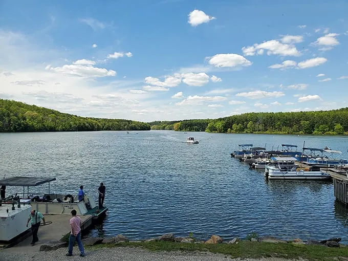 Off the beaten path? You've found it! Clendening Lake is your GPS to serenity.
