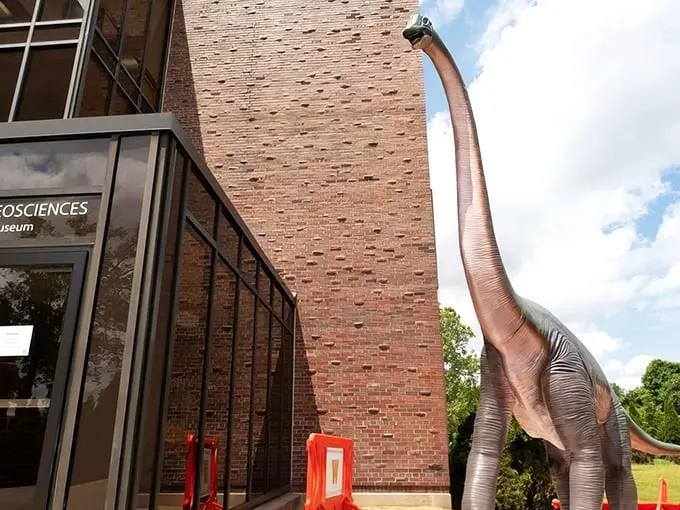 Neck and neck with greatness! This Brachiosaurus at Western Michigan University's Dinosaur Park gives new meaning to 'higher education.'