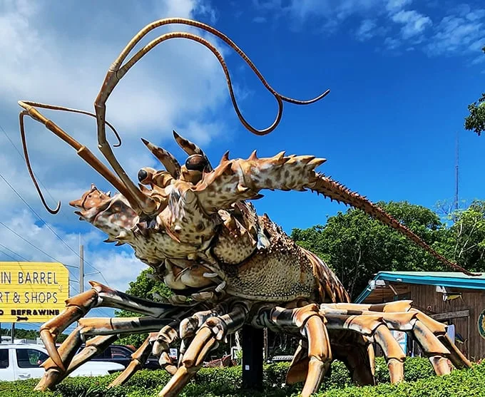 Move over, Godzilla! Betsy the Lobster rules this Islamorada roost, proving that in Florida, even the shellfish go big or go home.