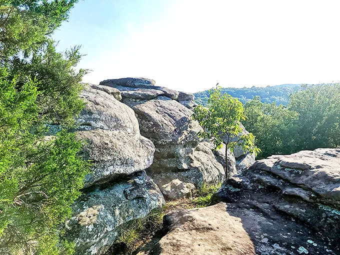 Camel Rock stands proud, like nature's own Sphinx. It's been posing for selfies long before smartphones were a twinkle in Steve Jobs' eye.