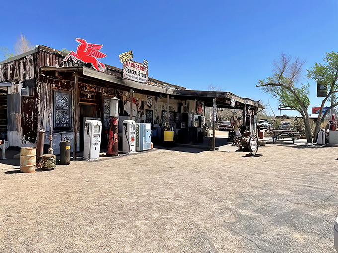 Get your kicks and your knick-knacks! This store is the perfect place to stretch your legs and your imagination.