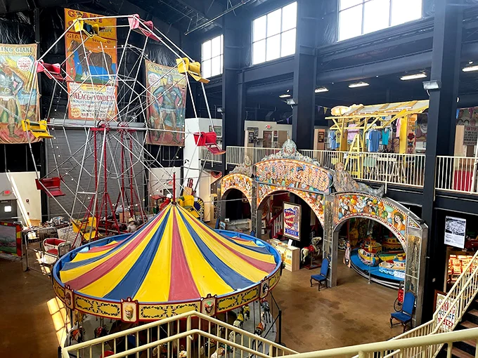 Step right up to a world of wonder! This kaleidoscope of carnival delights will transport you faster than you can say "cotton candy."