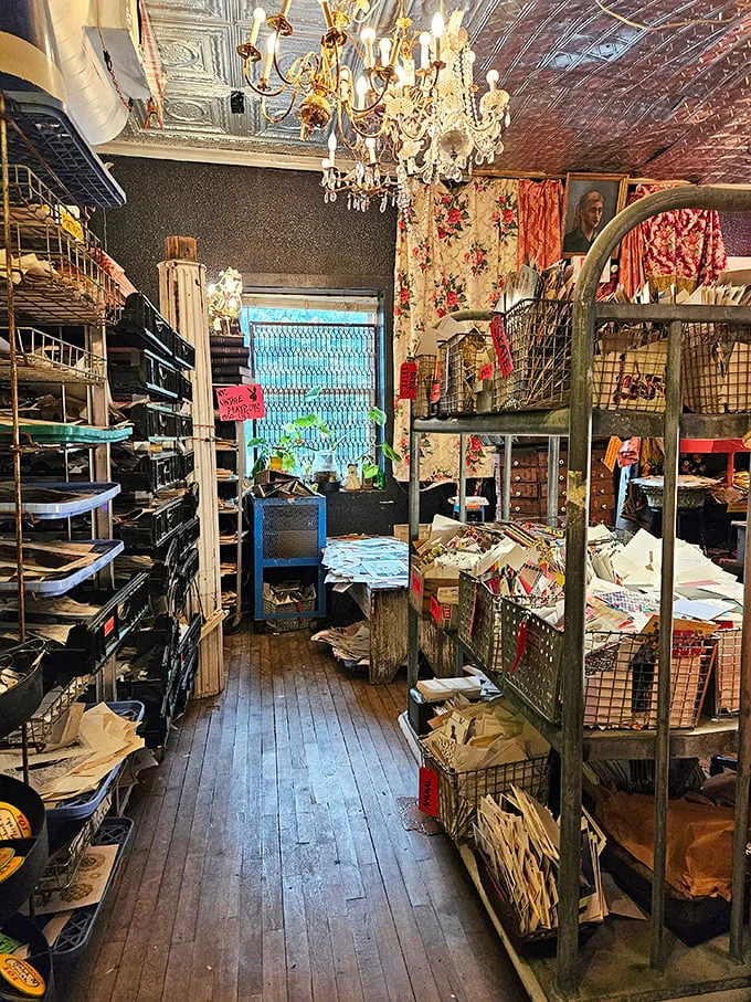 Step into a time-traveler's attic. Chandeliers dangle over a labyrinth of treasures, each shelf a new adventure waiting to unfold.