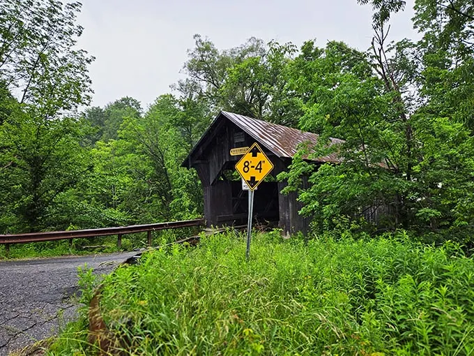 Nature's photo booth: Where lush greenery frames a bridge that's seen more seasons than a binge-worthy Netflix series.