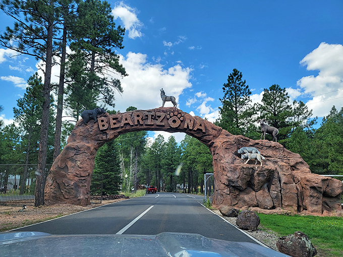 Welcome to bear country! It's like Yellowstone, but you don't have to worry about finding a parking spot.