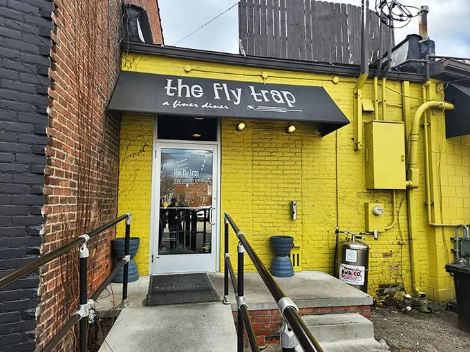 Yellow brick road to flavor town! The Fly Trap's bright exterior is a beacon for hungry travelers.
