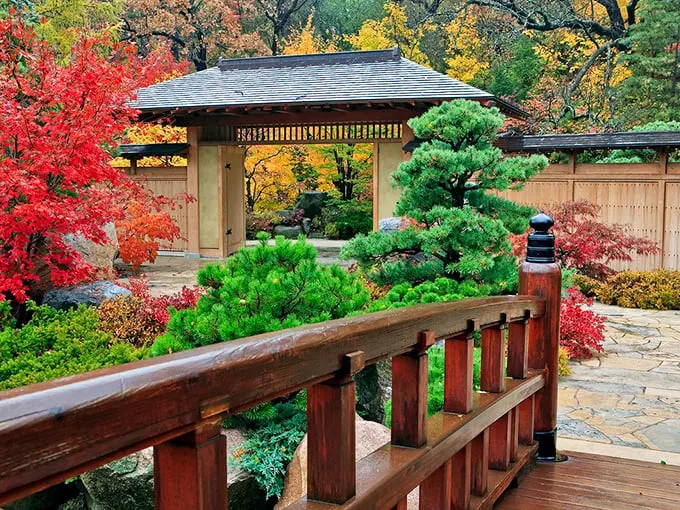 Bridge over tranquil waters. Cross into a world where stress doesn't exist.