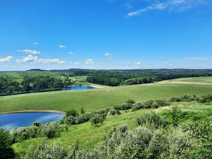 "Ohio or Africa? This sprawling landscape will have you double-checking your GPS. Spoiler alert: You're still in the Buckeye State!"