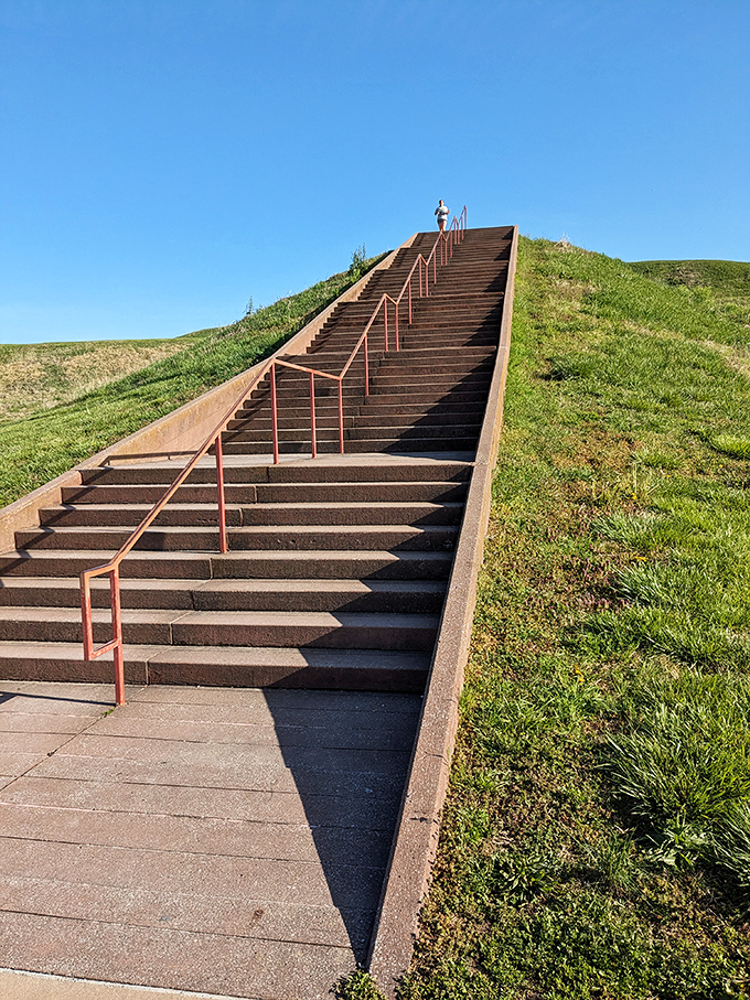 Stairway to heaven? Nope, just Monks Mound. But the view's still divine!