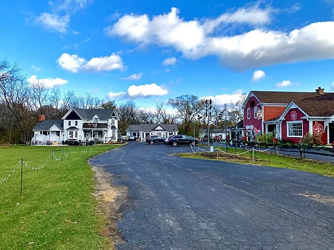 Long Grove or North Pole annex? This charming town brings Santa's workshop vibes to the Prairie State.
