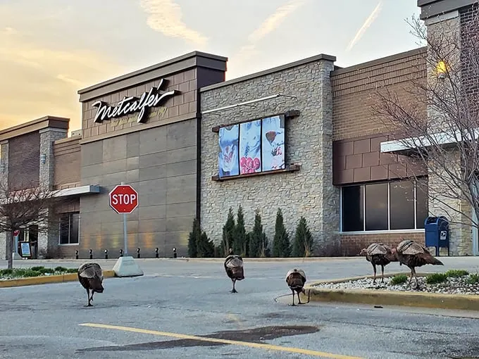 Fuel up on local flavors! Metcalfe's is the perfect pitstop for farm-fresh goodies and gourmet road trip provisions.