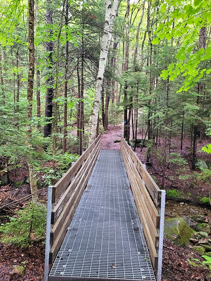 Park the car and step into a postcard. Molly Stark State Park is your perfect road trip palette cleanser.