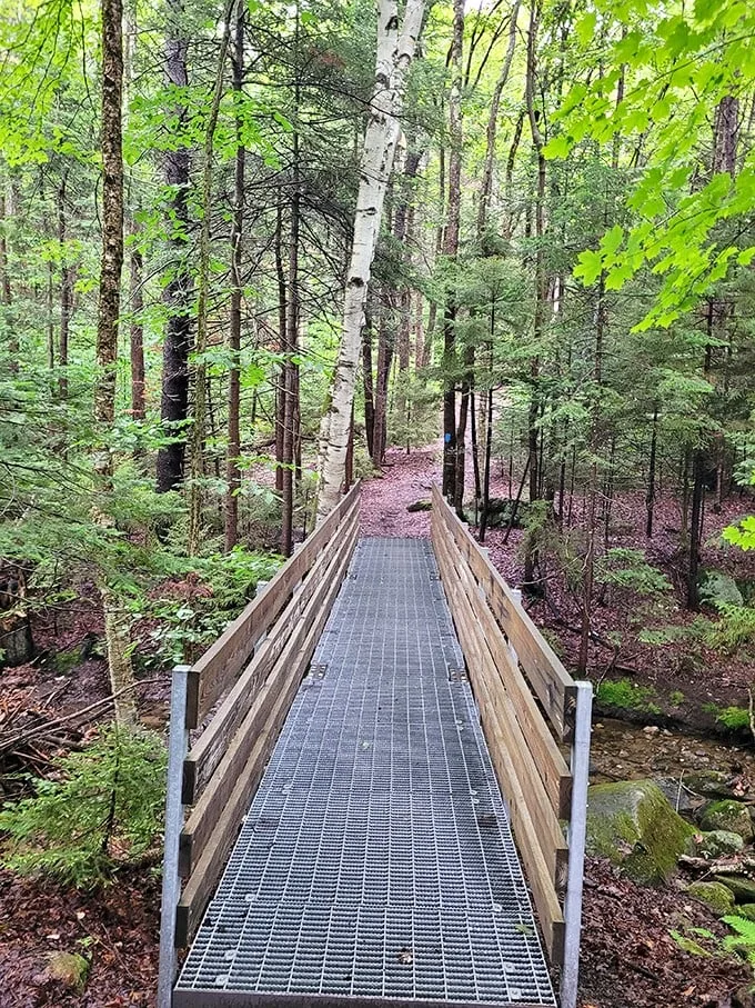 Park the car and step into a postcard. Molly Stark State Park is your perfect road trip palette cleanser.