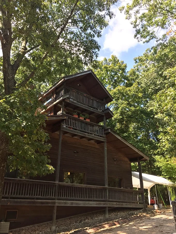 Scenic route surprise! Pomona's hidden woodland winery is the forest gem you didn't know you were looking for.