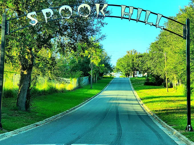Put it in neutral and let Florida take the wheel! Spook Hill is the ultimate cruise control experience.