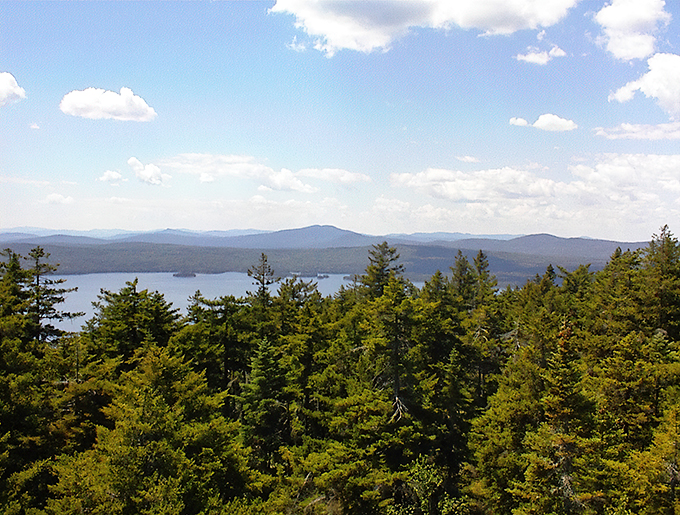 Is that a moose or Bigfoot? In Rangeley, you might need to look twice!