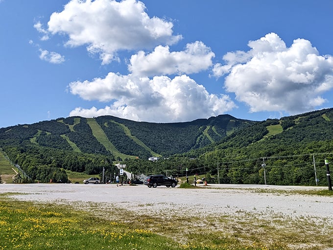 The Beast of the East isn't just big, it's beautiful. Killington's panorama is nature's own IMAX experience.