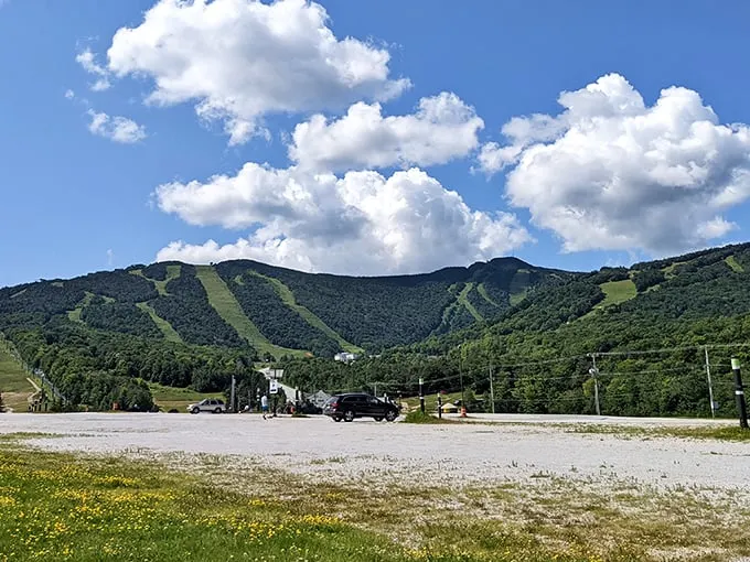 The Beast of the East isn't just big, it's beautiful. Killington's panorama is nature's own IMAX experience.