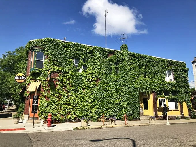 Green means go... for sandwiches! Mudgie's verdant exterior is like a culinary traffic light, signaling delicious things ahead.