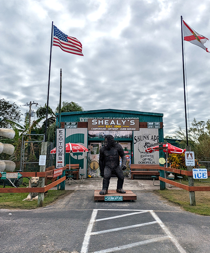 Part gift shop, part monster hunt – the Skunk Ape Research HQ in Ochopee is Florida's answer to Loch Ness. Bring your camera and nose plugs!