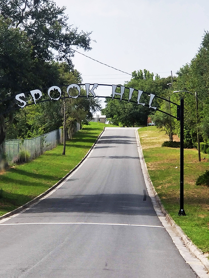Who needs roller coasters when you've got Spook Hill? It's a thrill ride courtesy of Mother Nature herself.