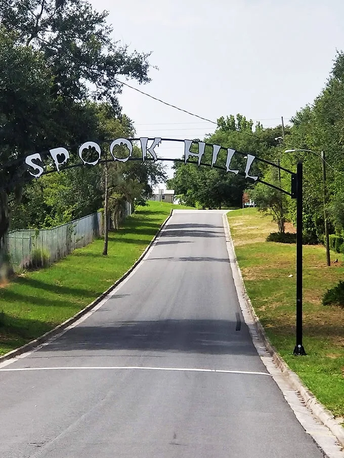 Who needs roller coasters when you've got Spook Hill? It's a thrill ride courtesy of Mother Nature herself.