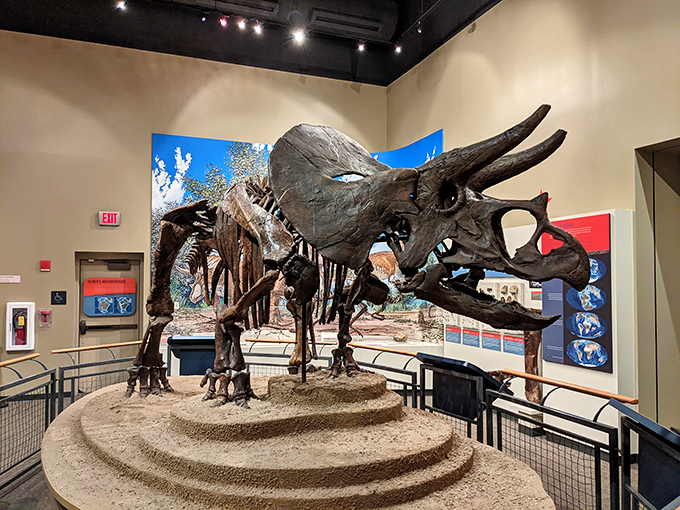 Holy triceratops, Batman! This colossal creature looks ready to break free and roam the halls. Don't forget to duck!