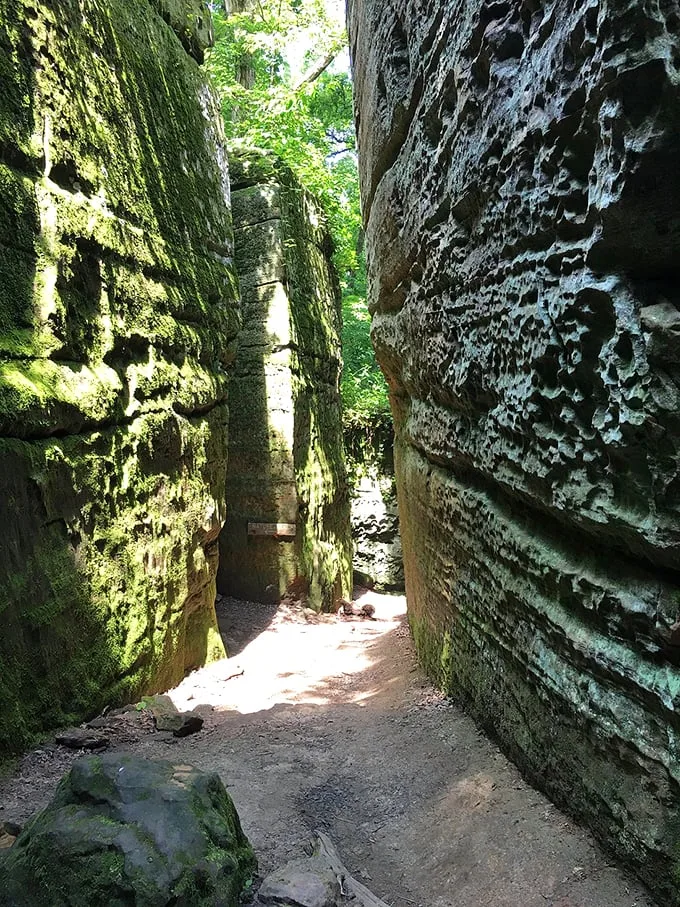 Squeeze through nature's own fun house! These narrow passages are like a geological diet plan – instant weight loss guaranteed.