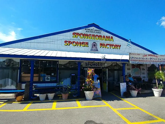 Soak it up, folks! Tarpon Springs' Spongeorama is a deep dive into maritime history that'll leave you anything but high and dry.