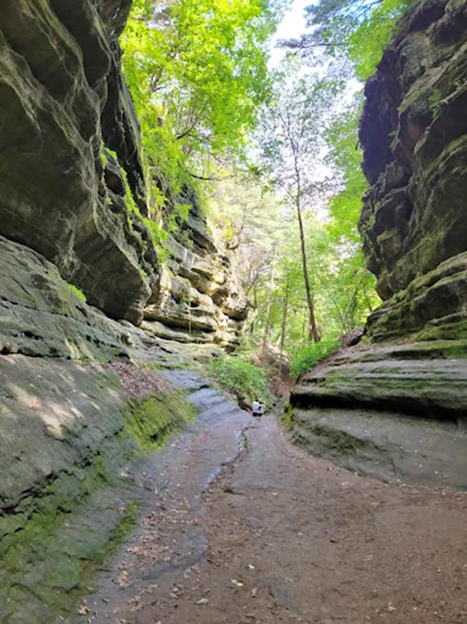 Nature's obstacle course. Canyons, waterfalls, and views that'll make your Instagram followers jealous.