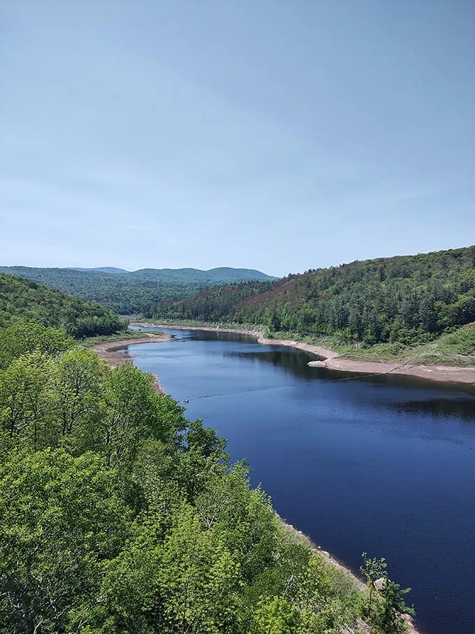 Lake Willoughby spreads out below like nature's infinity pool. No chlorine, just pure Vermont beauty.