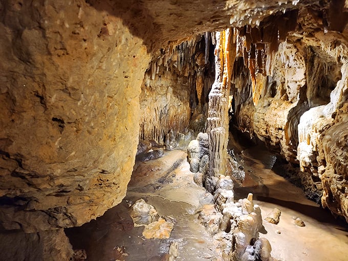 Stalactites and stalagmites throw the ultimate geological party. BYOB (Bring Your Own Bioluminescence).