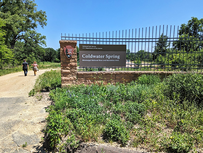 Who needs a water park when you've got Coldwater Spring? Nature's refreshment, served with a side of serenity.