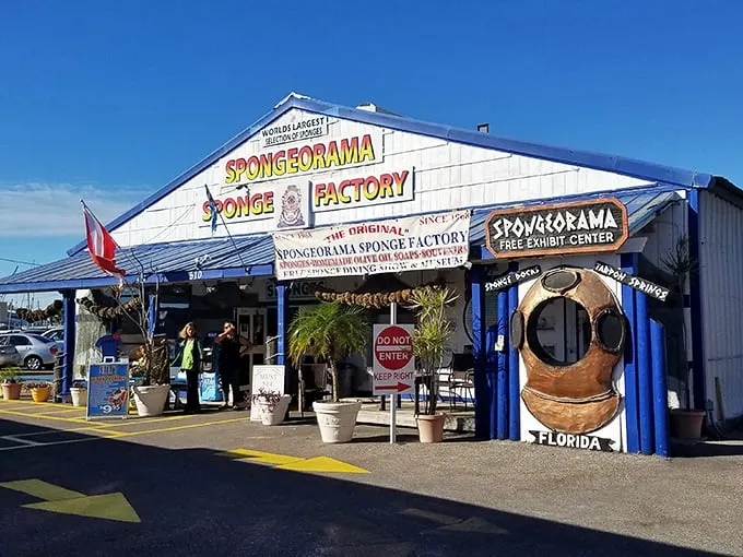 Who knew sponges could be so captivating? Spongeorama in Tarpon Springs squeezes every drop of fascination from these humble sea creatures.