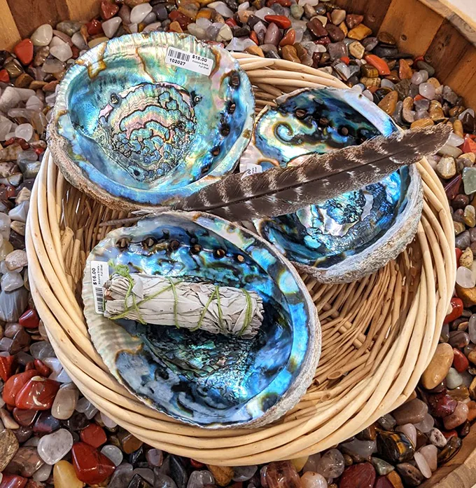 Nature's art gallery on display. These iridescent shells are like the ocean's own Fabergé eggs.