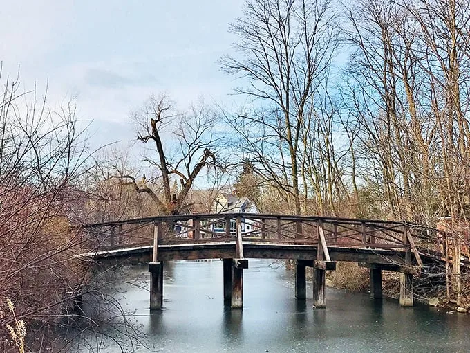 Bridge over untroubled water. This quaint wooden crossing isn't just a way to get from A to B – it's a portal to simpler times. No tolls, just trolls (kidding!).