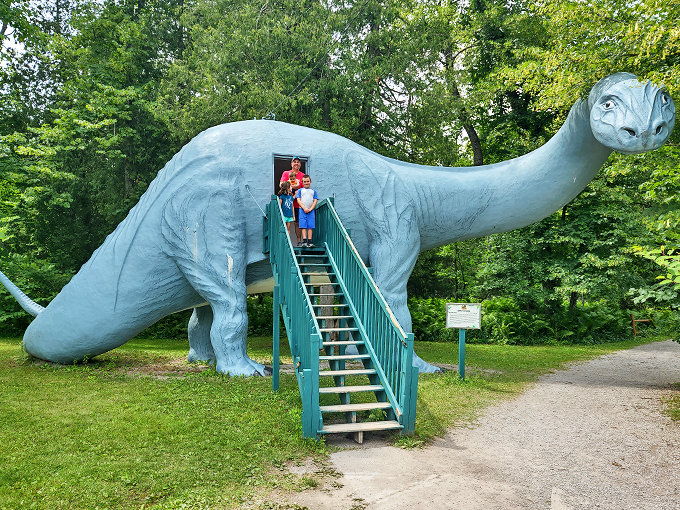 All aboard the Jurassic express! This family-friendly tour takes you on a journey through the mists of time.