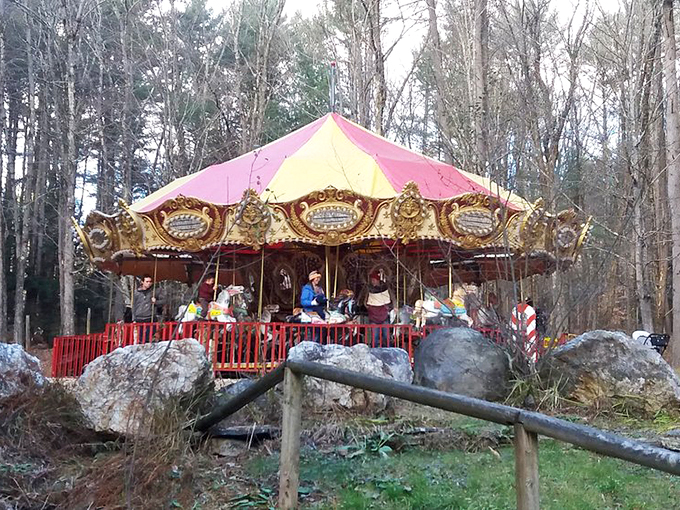 Round and round we go! This classic carousel isn't just horsing around – it's spreading joy one merry-go-round at a time.