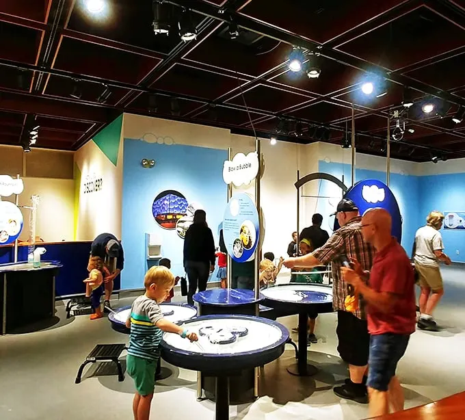 Hands-on learning at its finest! Here, visitors become the scientists, proving that curiosity knows no age limit.