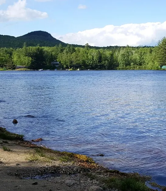 52 acre park vermont FTR