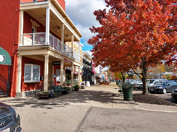 Granville's Broadway: Where New England charm took a Midwest vacation. Tree-lined streets and classic architecture create a picture-perfect small town.