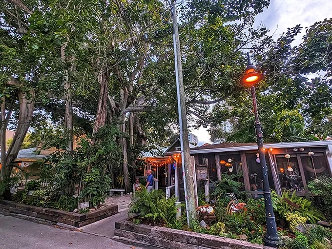 Owen's Fish Camp: Where dining feels like a whimsical journey through a seafood lover's dream. Fairy lights not included, but magic is!